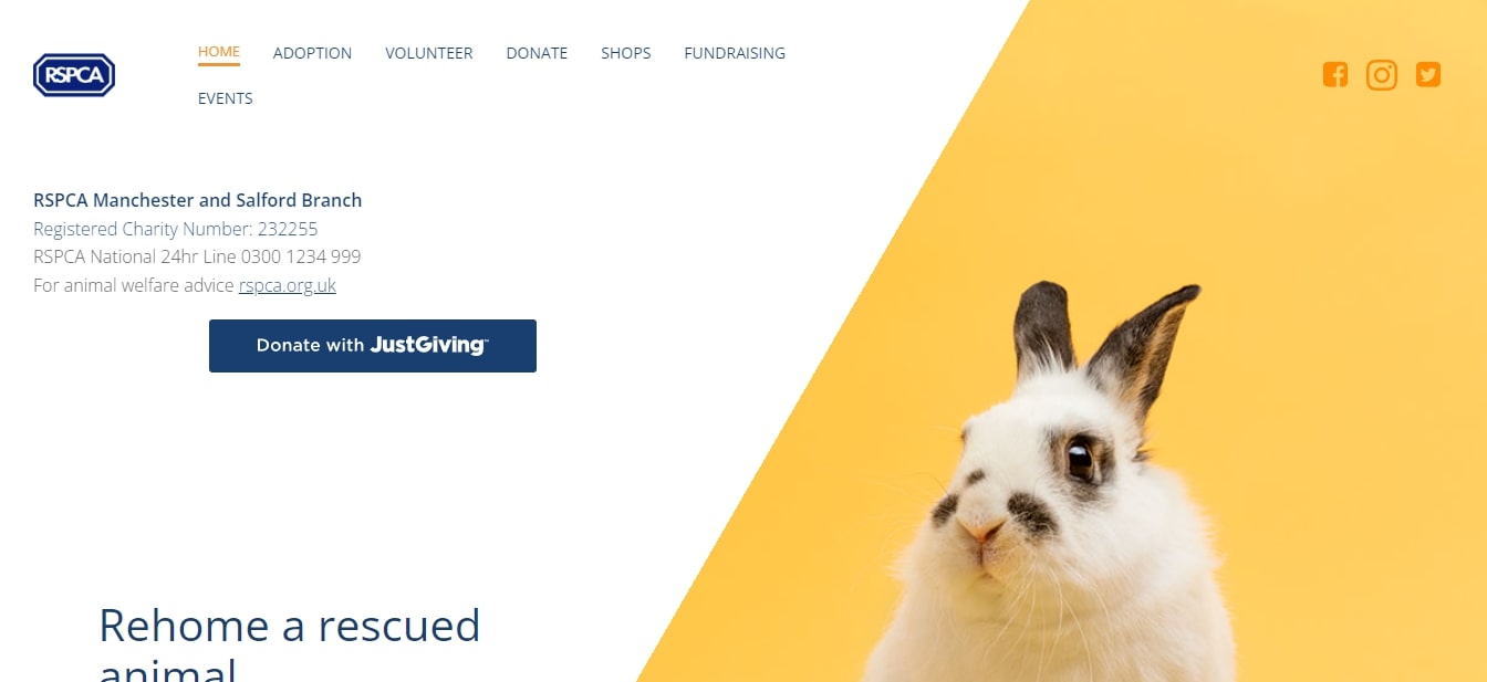 Top 5 Animal Shelters in Manchester [2026 ]