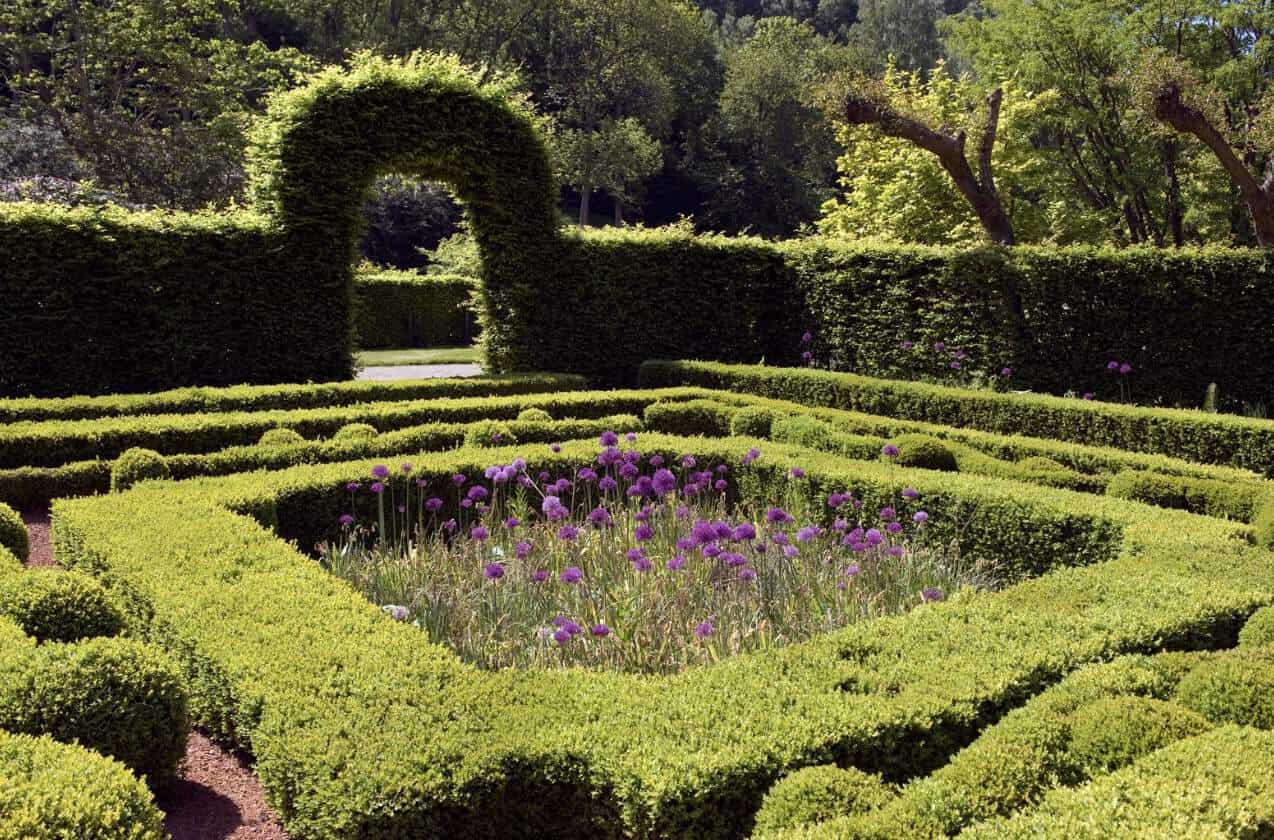 RHS Garden Bridgewater in Manchester: A Complete Guide [2026]