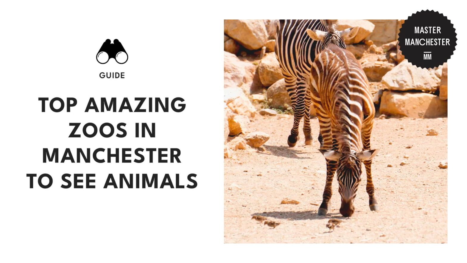 Best 15 Zoos in Manchester You Have to Visit