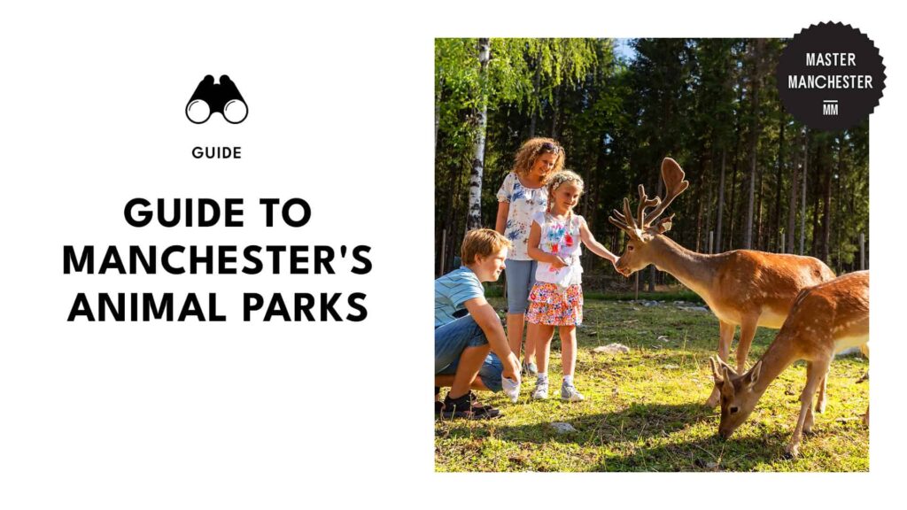 11 Manchester Animal Parks to Visit (+ Local Tips!)