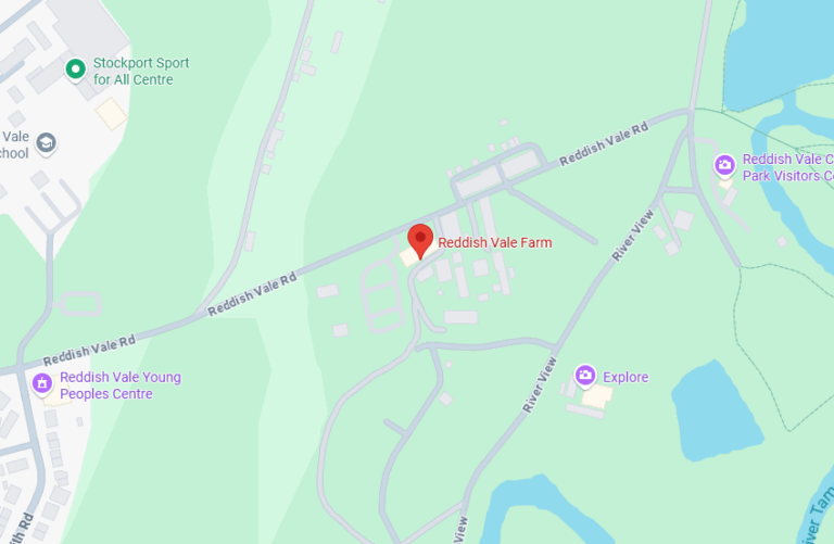 The Complete Guide for Your Reddish Vale Farm Adventure